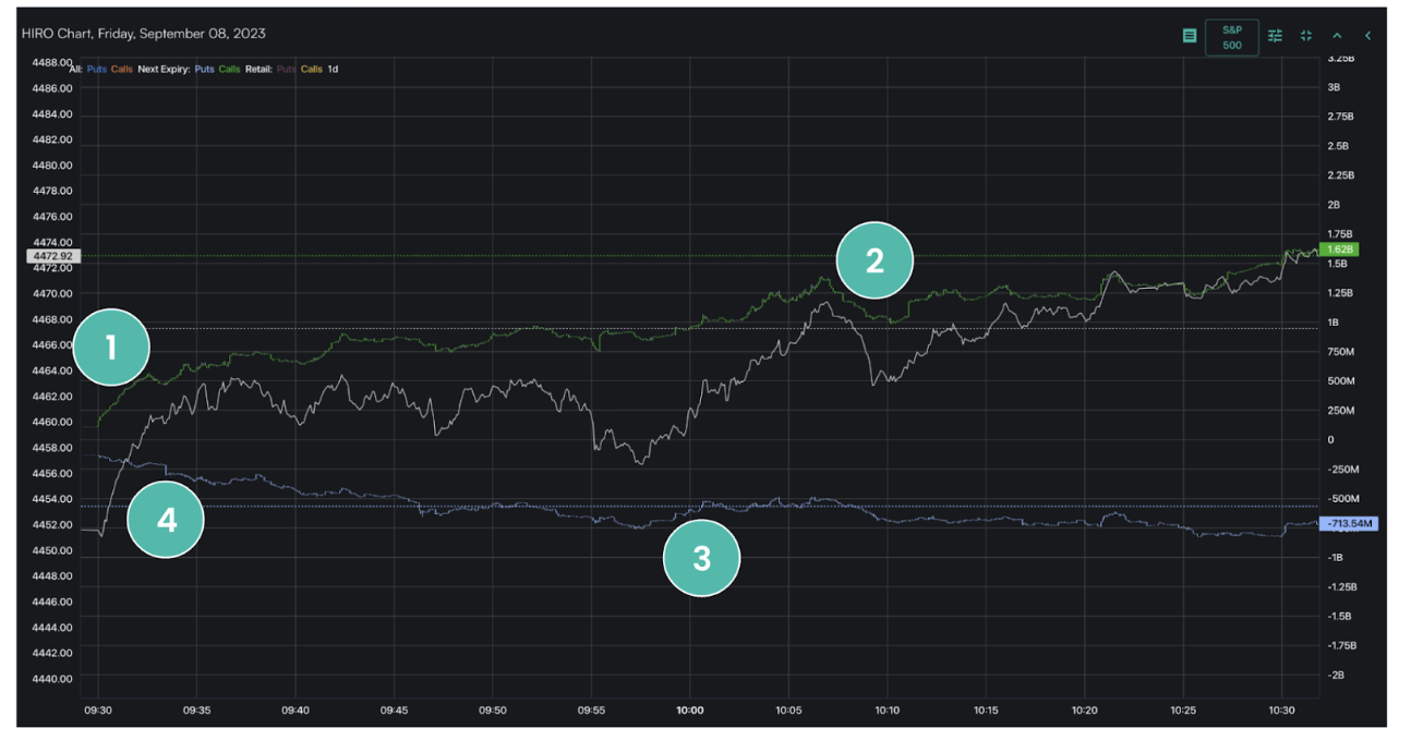 What does the Next Expiry filter indicate? – SpotGamma Bloomberg
